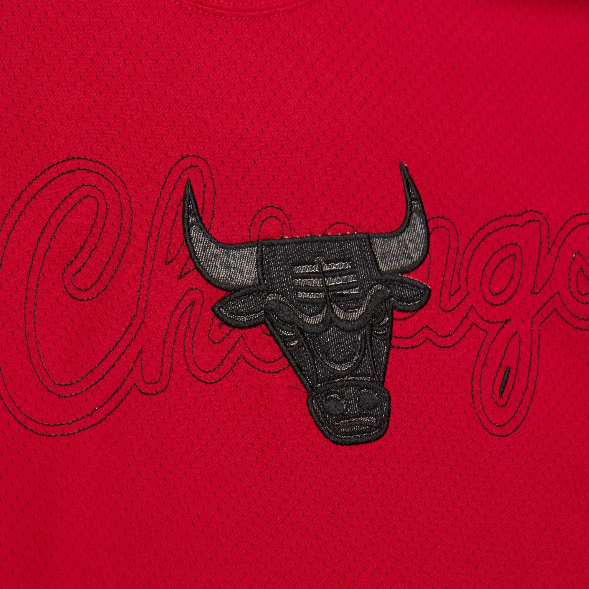 Metro Fusion - Purple Brand x Mitchell & Ness Chicago Bulls Mesh T ...